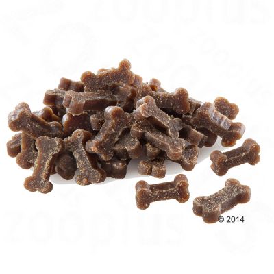 L’alimentazione del Beagle | zooplus Magazine