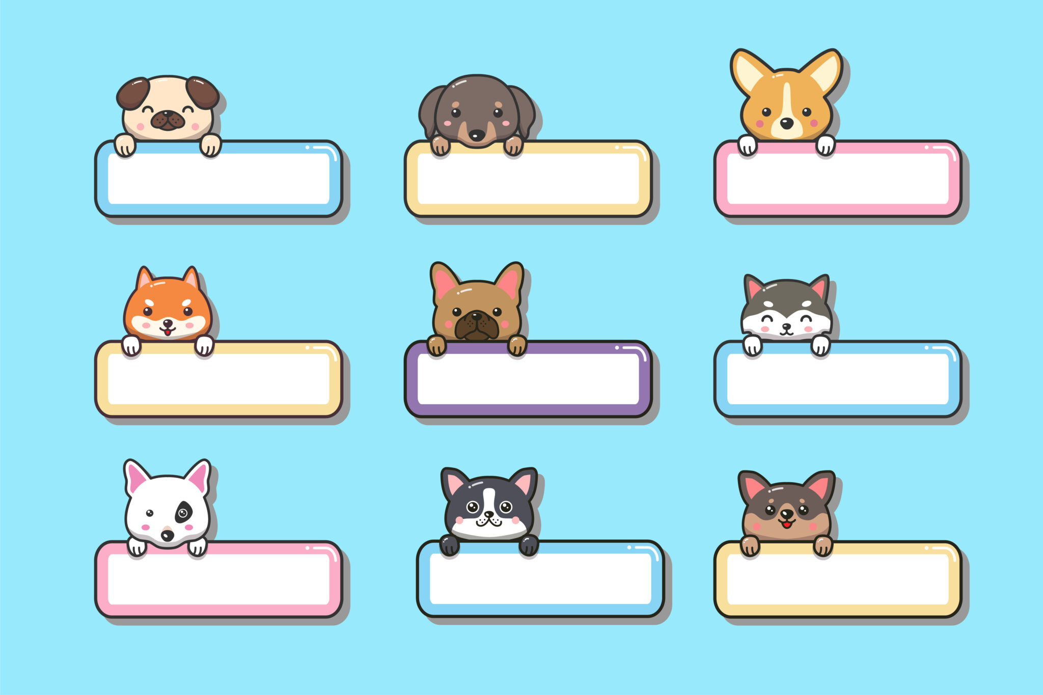 Nomi per cani maschi: i più belli e i più originali | zooplus Magazine