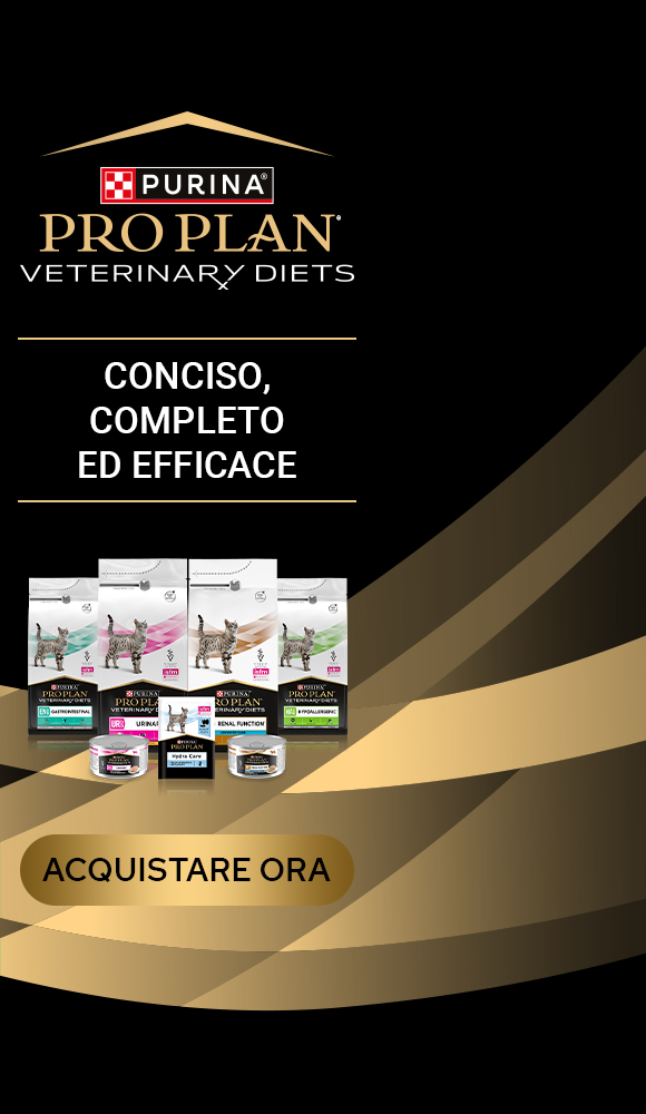 Quaglia: aspetto, colori piumaggio, tipologie | zooplus Magazine